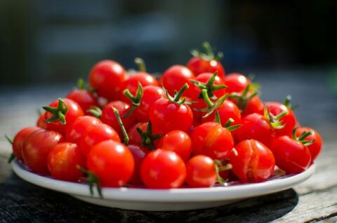 Are Tomatoes Low FODMAP? A Guide to Tomatoes and IBS.