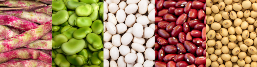 Lowest FODMAP beans - Which beans to eat to help manage IBS